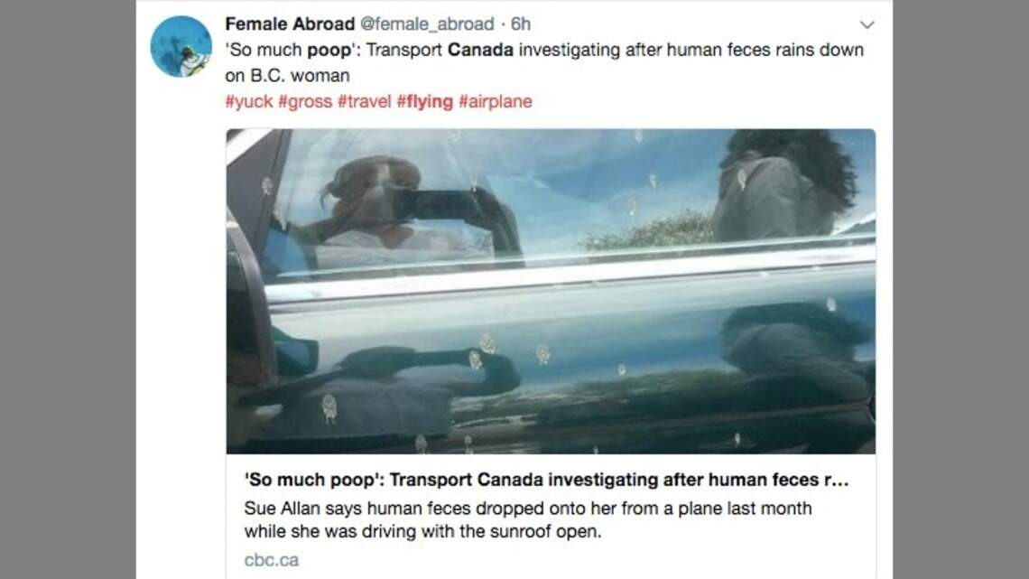 Canadians say they got hit by poop falling from the sky | Kansas City Star