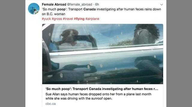Canadians say they got hit by poop falling from the sky | Kansas City Star
