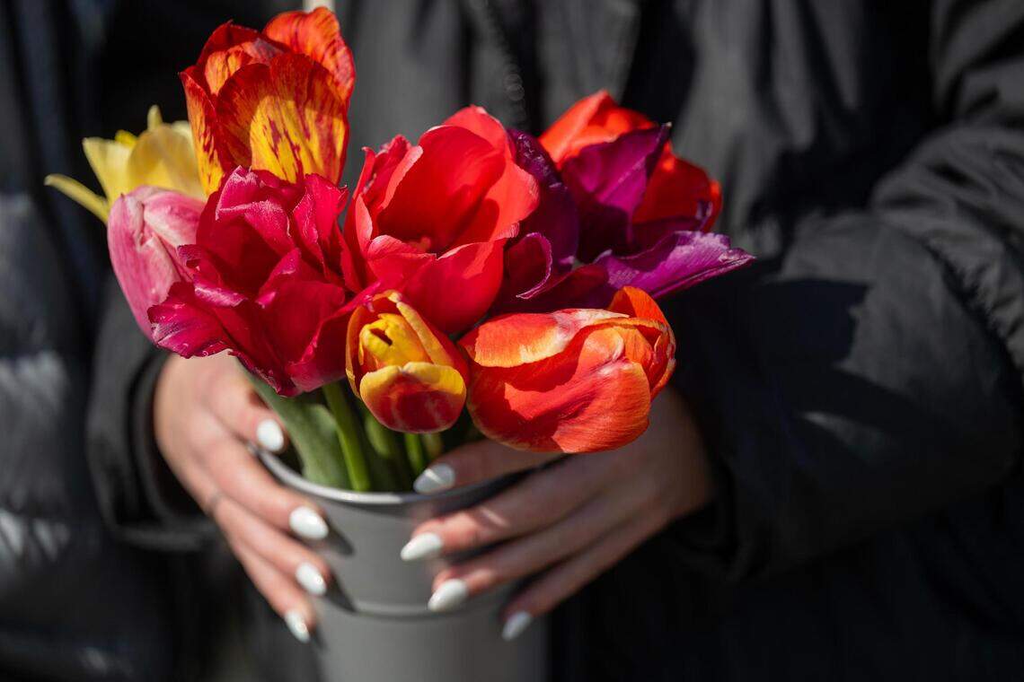 Tulip festival at The Fun Farm in Kearney, Missouri | Kansas City Star
