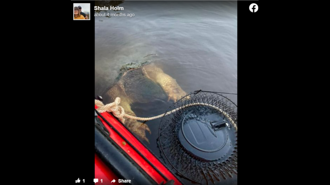 River creatures startles kayakers in Minnesota, photos show | Fort ...