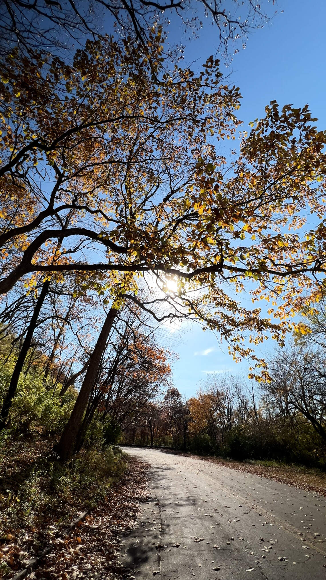 Discover Cliff Drive, a scenic walking trail in Kansas City | Kansas ...