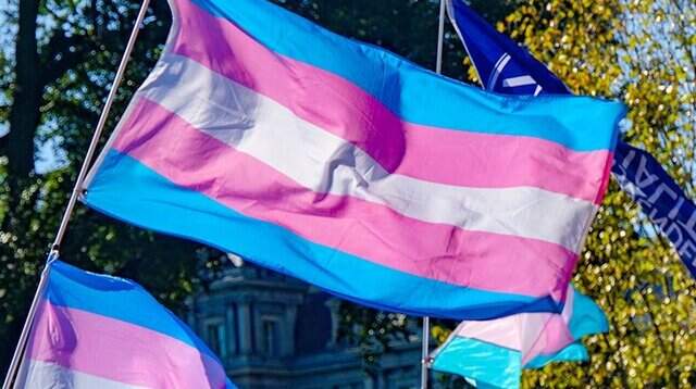 Trans events like Denton bookstore’s storytime face backlash | Fort ...