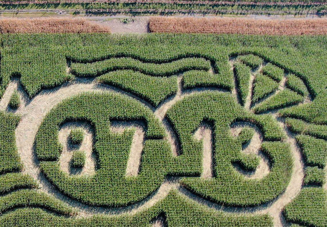 Kansas City corn maze honors Kelce and Swift's love story | Kansas City ...