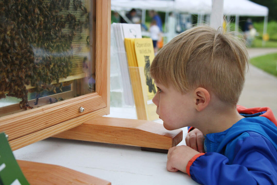 Learn about pollinators at Wonders of Discovery in Olathe | Kansas City ...