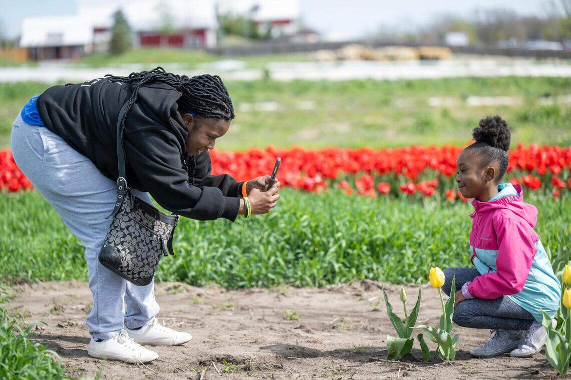 Tulip festival at The Fun Farm in Kearney, Missouri | Kansas City Star