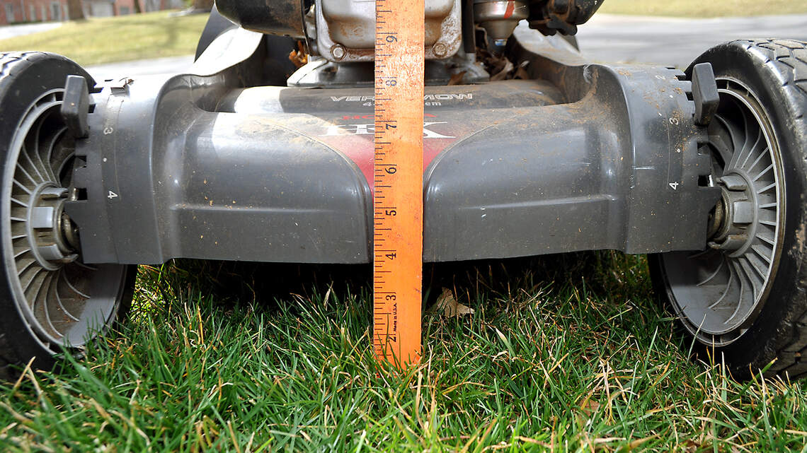 Lawn mowing tips for Kansas City area from extension office | Kansas ...