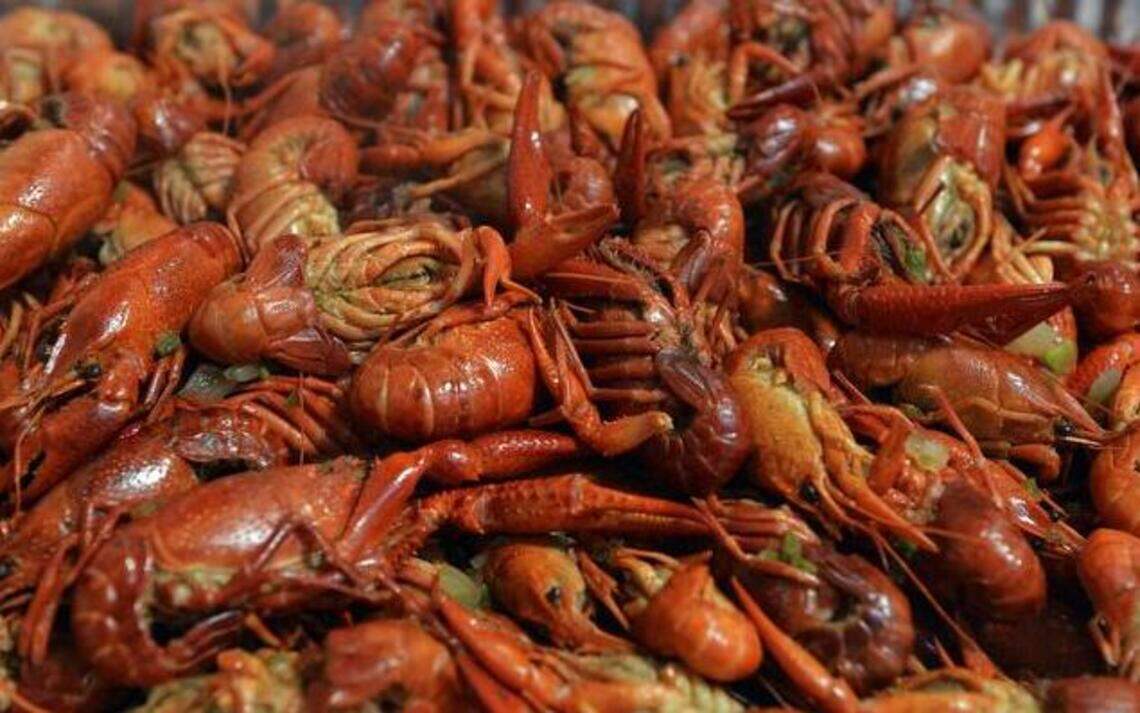 Bon Ton ,Soul Accordion, Band, City Market, Crawfish festival, Kansas ...