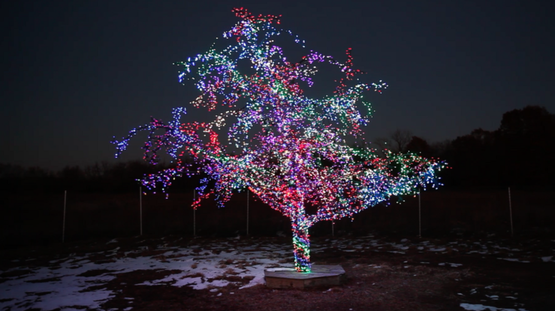 Lee’s Summit’s Magic Tree brings on sparkle | Kansas City Star
