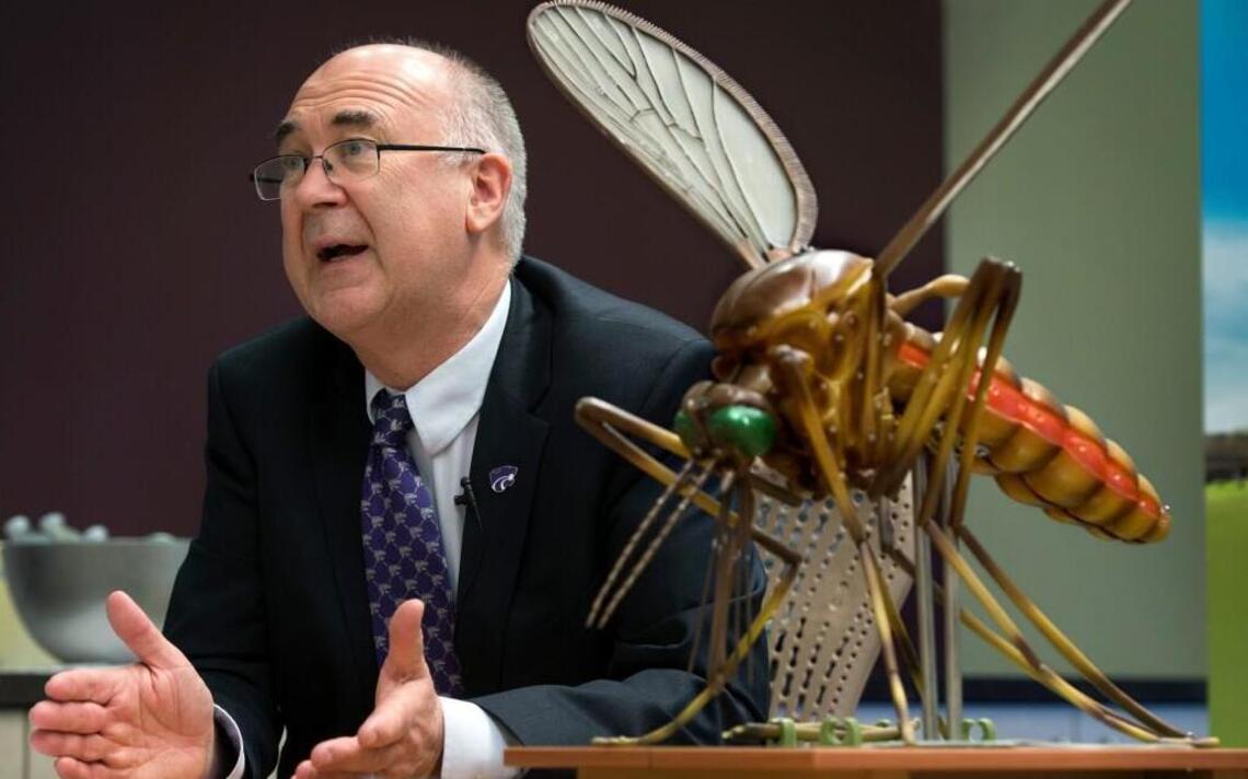 Kansas State University infects mosquitoes with Zika virus to gain ...