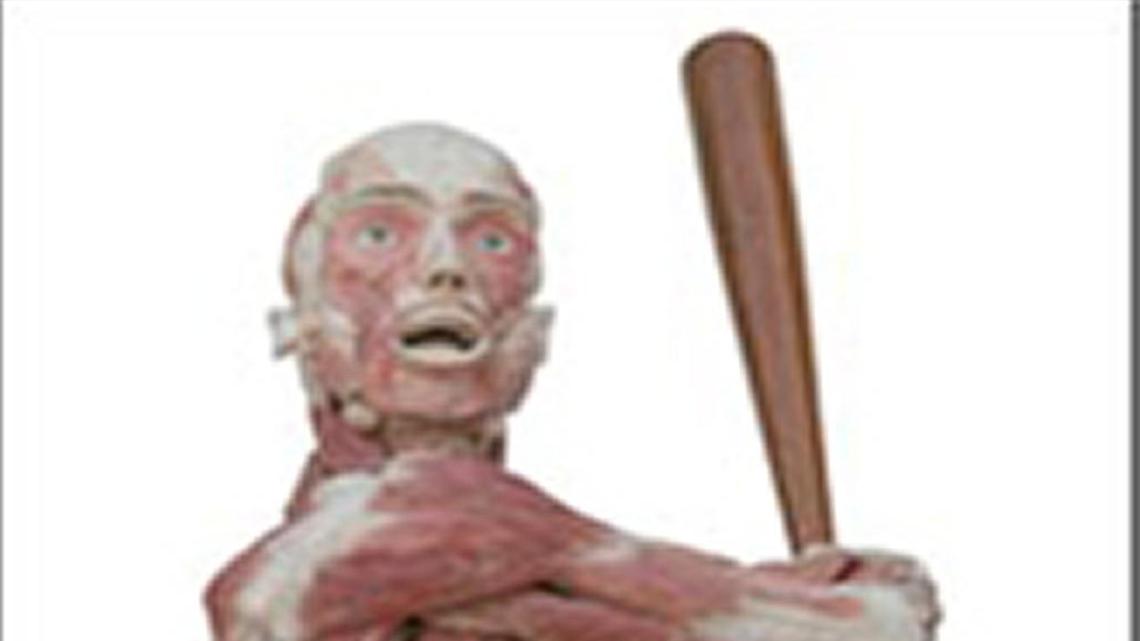 Union Station announces health exhibit using preserved human bodies ...