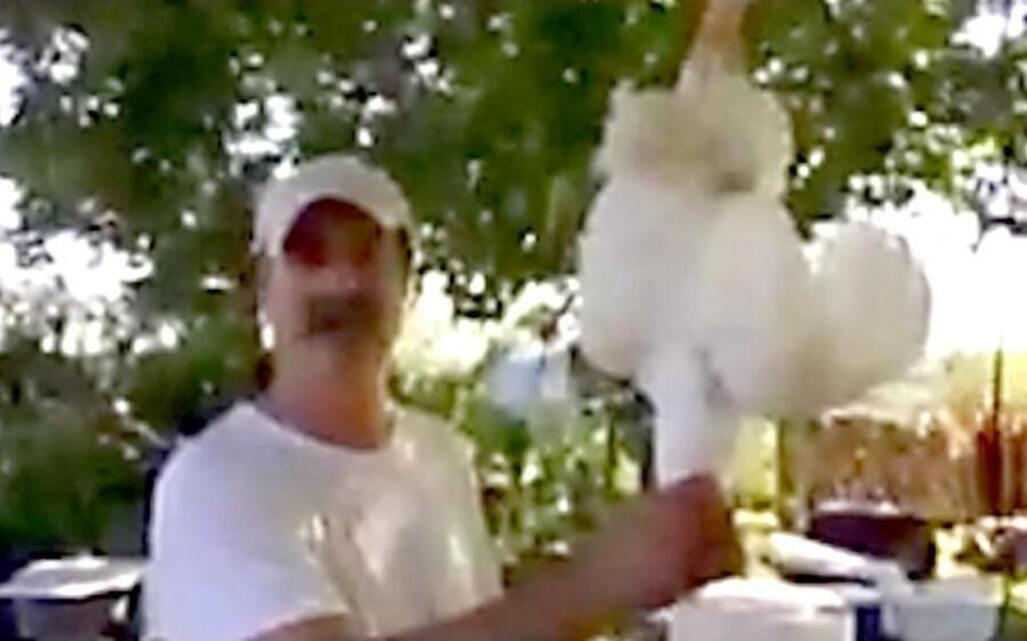 Rep. Mike Moon of Missouri beheads chicken, proposes killing abortions ...