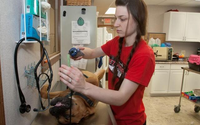 KC works on a plan to replace its antiquated no-kill animal shelter ...